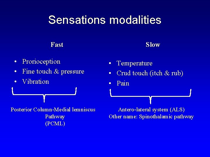 Physiology of the sensory system Types of sensation