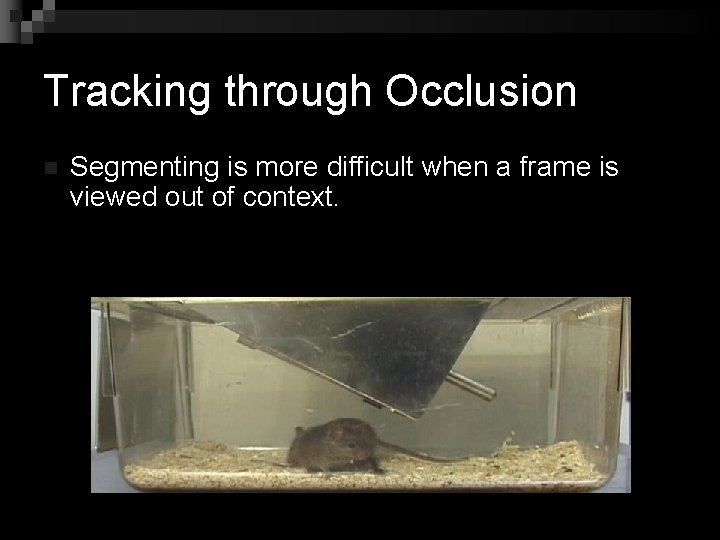 Tracking Multiple Indistinguishable Objects Through Severe Occlusions