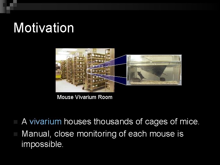 Tracking Multiple Indistinguishable Objects Through Severe Occlusions