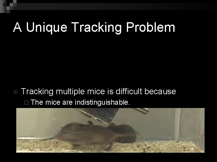 Tracking Multiple Indistinguishable Objects Through Severe Occlusions