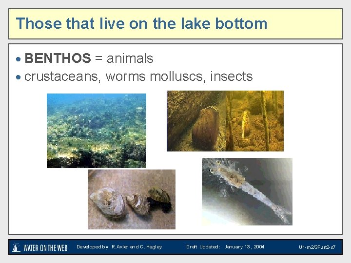 LAKE ECOLOGY Unit 1 Module 23 Part 2