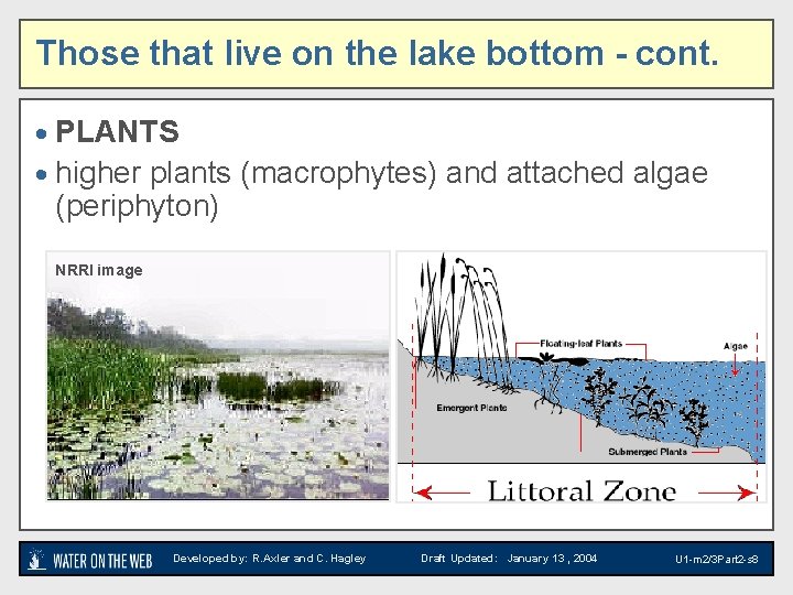 LAKE ECOLOGY Unit 1 Module 23 Part 2