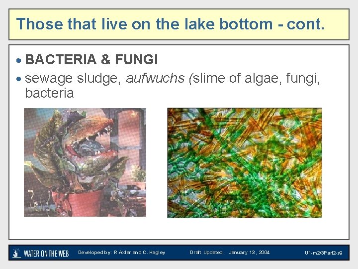 LAKE ECOLOGY Unit 1 Module 23 Part 2
