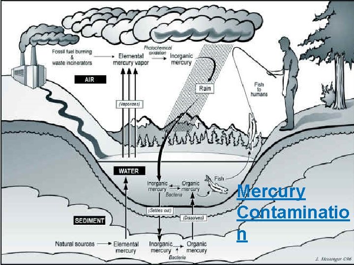 5 1 Nature of pollution Pollution The contamination