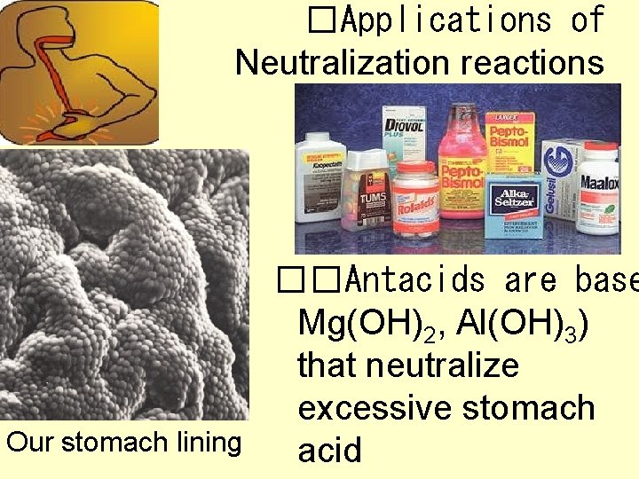Neutralization reaction Review Whats an acid Example Whats