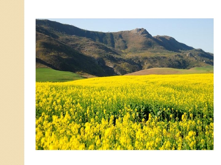 TOPOGRAPHY ASSOCIATED WITH HORIZONTALLY LAYERE ROCKS TOPOGRAFIE GEASSOSIEER