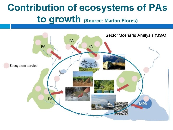 THE ROLE OF ECOSYSTEM VALUATION IN DECISION MAKING
