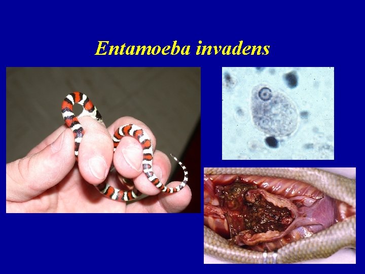 Principles and Definitions R and J Chs 1