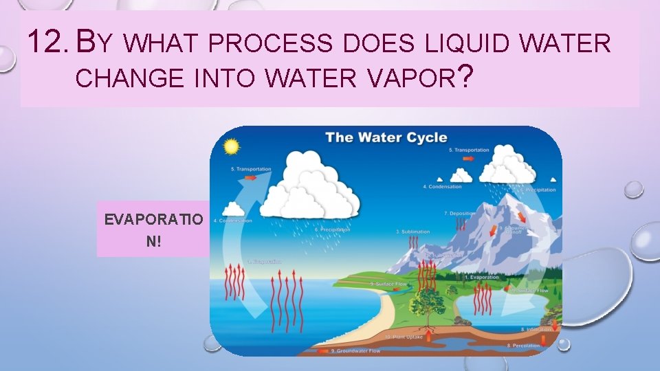 HANDOUT 1 4 1 THE WATER CYCLE STANDARD