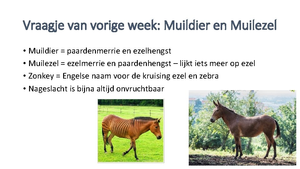 Voeren en Verzorgen Blok 1 Les 2 Niveau