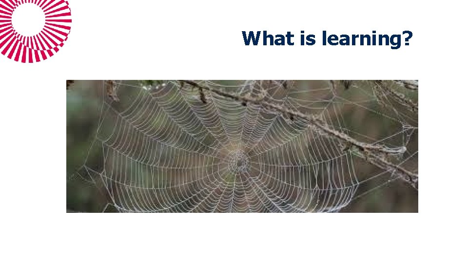 To learn Concepts about learning What is learning