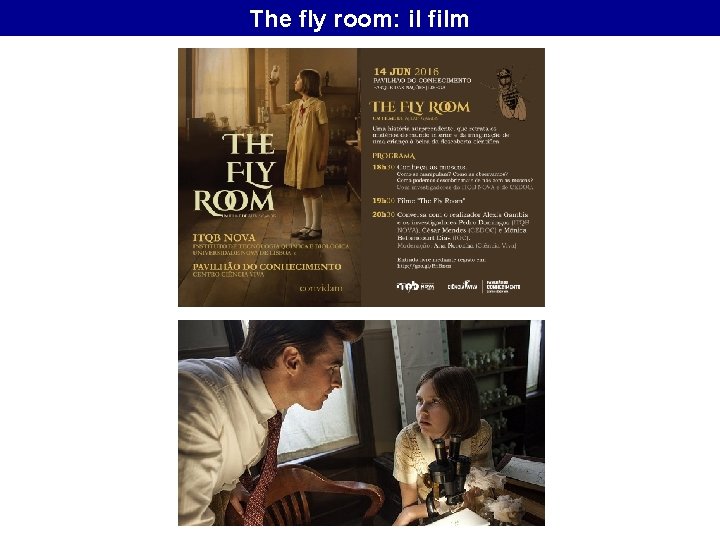 Esercitazione di Genetica 16 17 23 24 ottobre