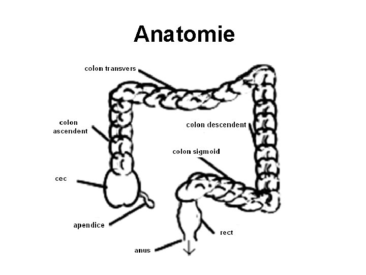 Cancere digestive Cancerul esofagian Epidemiologie carcinomul de esofag