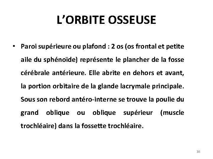 ANATOMIE DU GLOBE OCULAIRE Anne Acadmique 2019 2020