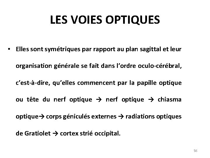ANATOMIE DU GLOBE OCULAIRE Anne Acadmique 2019 2020