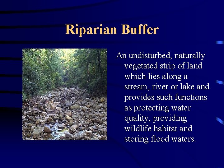 Riparian Buffers Lin Xu Division of Water Quality