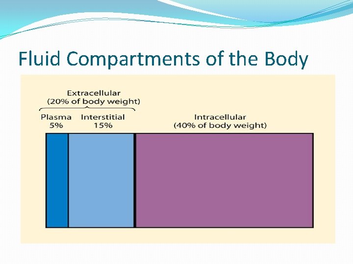 Fluid electrolyte and acid base imbalances Sasha Rarang