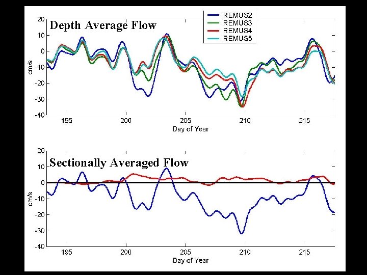 Circulation structure and dynamics of a buoyant coastal