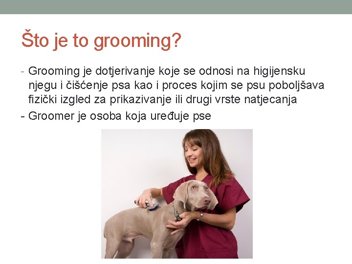 GROOMING PASA to je to grooming Grooming je