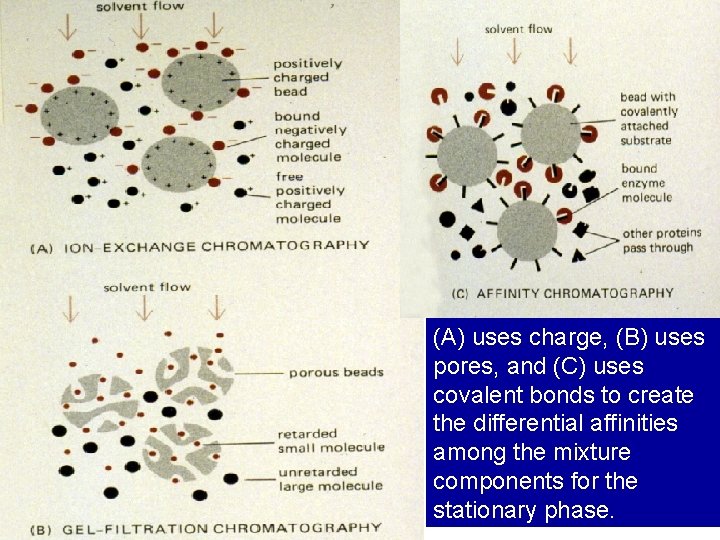 What is Chromatography Chromatography is a technique for