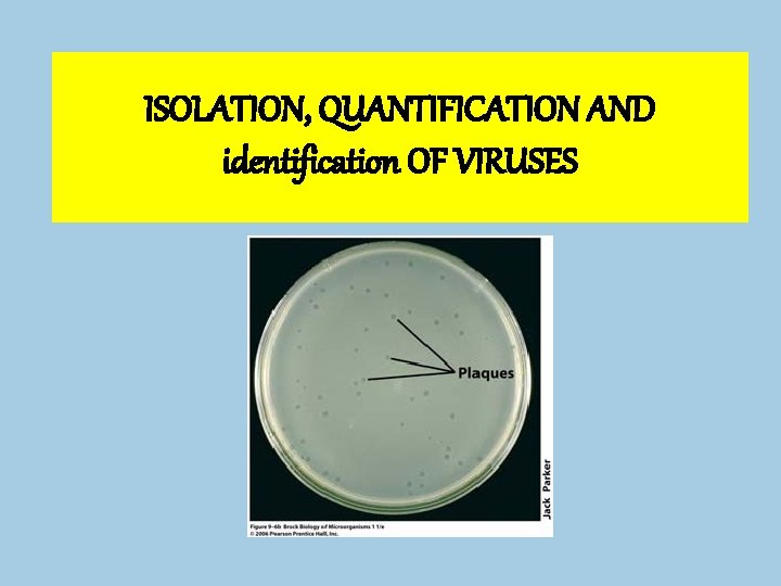 CHAPTER 4 ISOLATION QUANTIFICATION AND identification OF VIRUSES