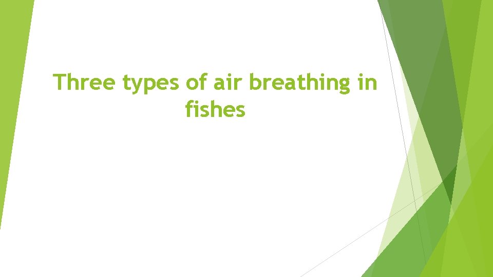 Three types of air breathing in fishes Two
