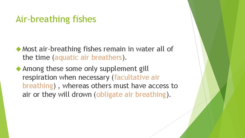 Three types of air breathing in fishes Two