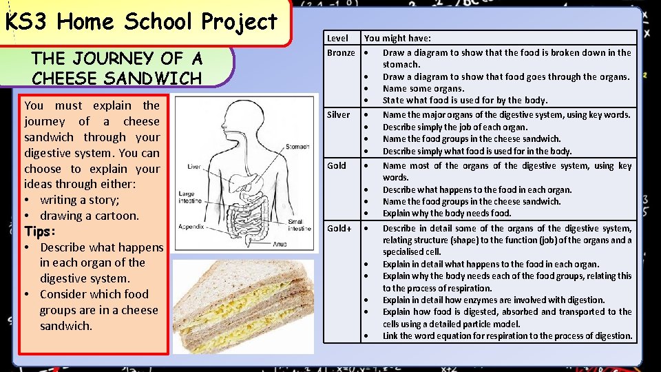 KS 3 Home School Project THE JOURNEY OF