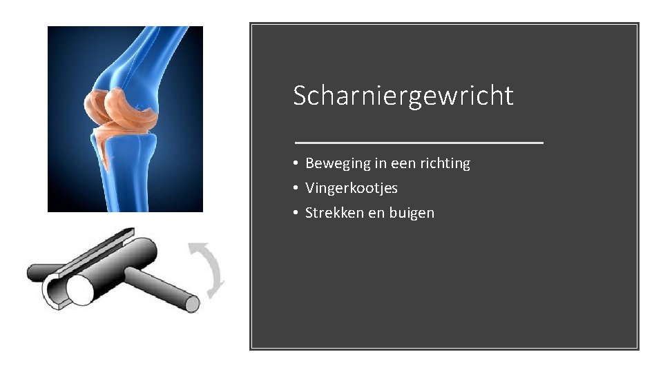 Botverbindingen en Gewrichten Leerdoelen Verschillende gewrichten ...