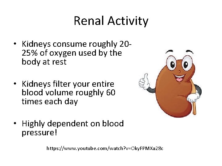 Urinary System Dr Anderson Rowan University Urinary System