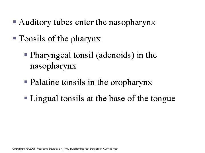 13 PART A The Respiratory System Power Point