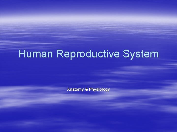 Human Reproductive System Anatomy Physiology Function of the