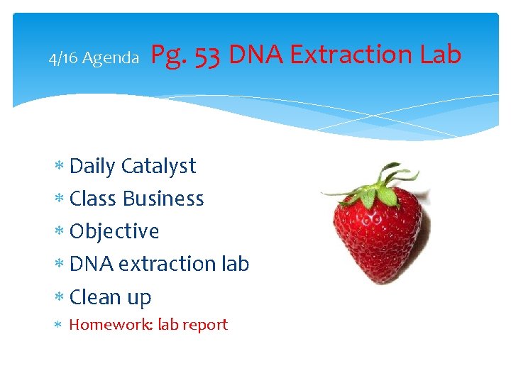 416 Daily Catalyst Pg 53 DNA Extraction Lab