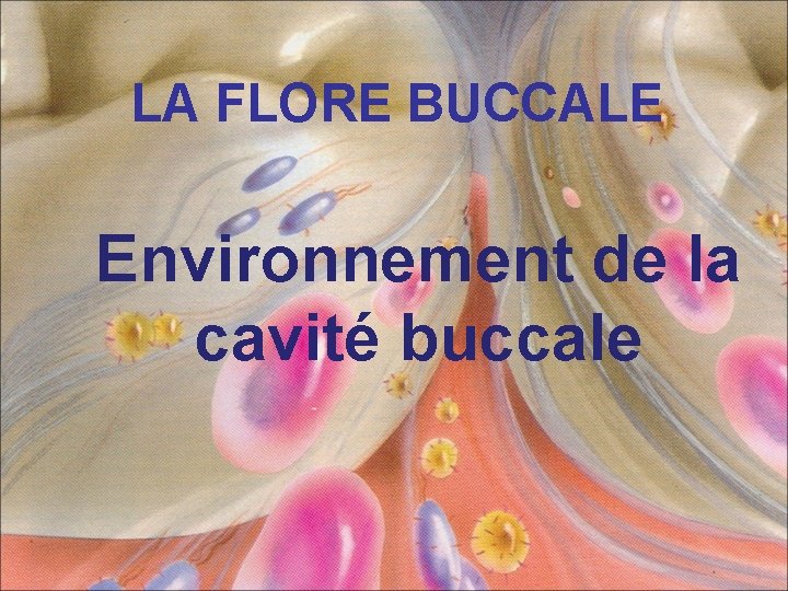 LA FLORE BUCCALE Environnement de la cavit buccale