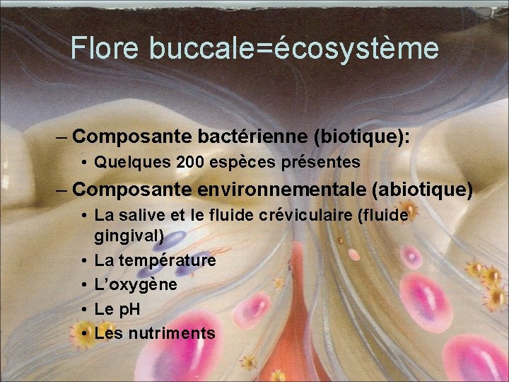 LA FLORE BUCCALE Environnement de la cavit buccale