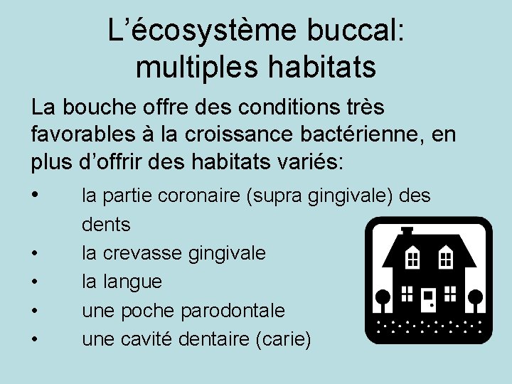 LA FLORE BUCCALE Environnement de la cavit buccale