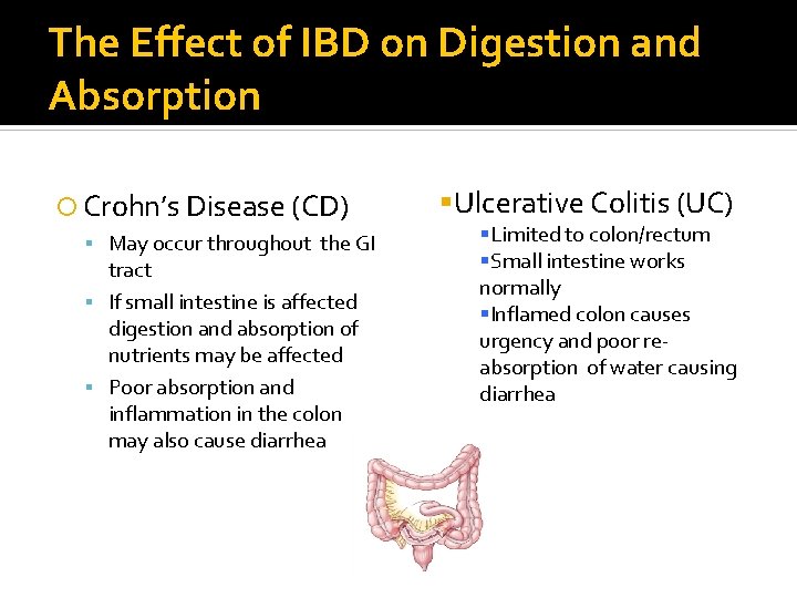 Food for Thought Diet Nutrition and Inflammatory Bowel