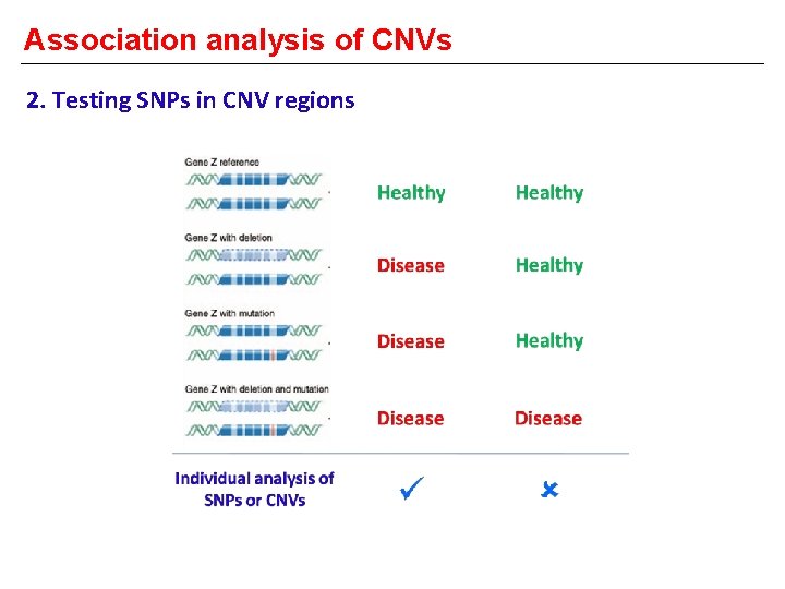 Copy Number Variants detection and analysis Manuel Ferreira