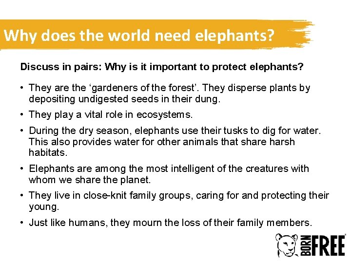 Elephants in Crisis Lesson 3 Solutions Learning objectives