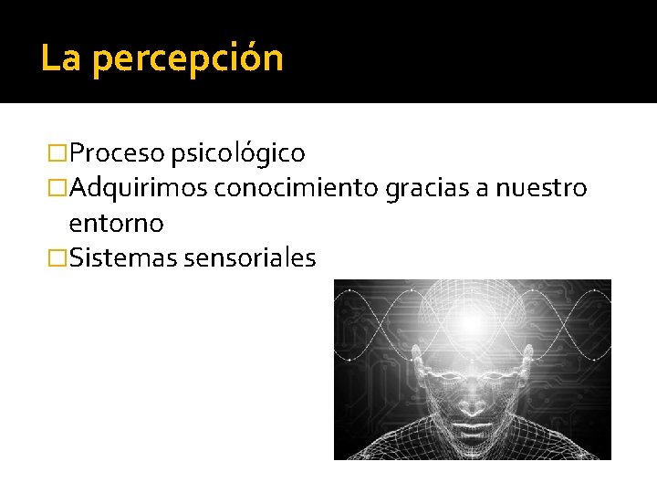 Teora de la imagen La percepcin visual Gemma