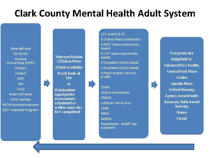 Overview of Clark County Behavioral Health System Access