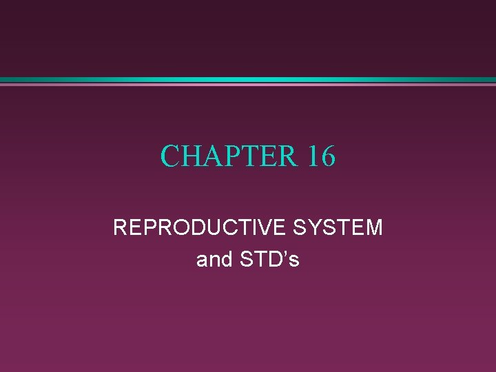 CHAPTER 16 REPRODUCTIVE SYSTEM and STDs MALE SYSTEM