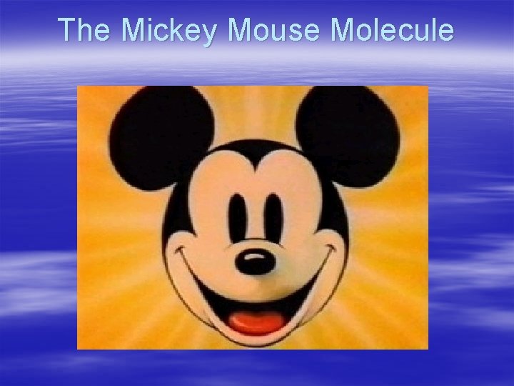 WATER Biologically Important Things About Water 9 Major