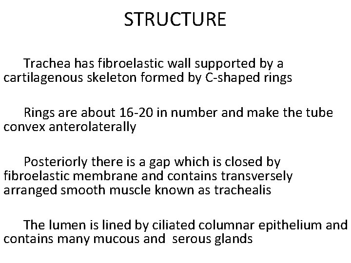 ANATOMY OF TRACHEA By Dr Manjula Vastrad Asst