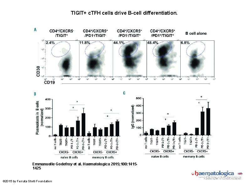TIGITpositive circulating follicular helper T cells display robust