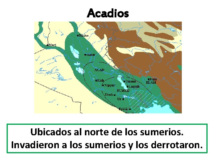 Acadios babilonios y asirios Acadios Ubicados al norte