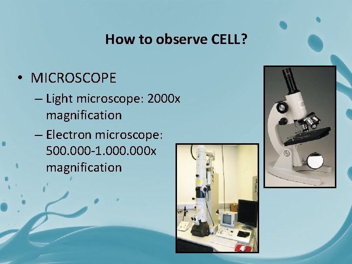 THE CELL Leonardus S Si TUJUAN PEMBELAJARAN Siswa