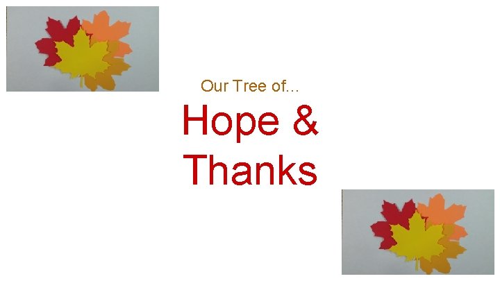 Our Tree of Hope Thanks What is a