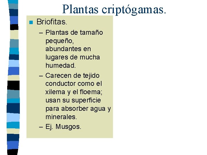 Reino vegetal crditos n http www uc clsweducbiologiabio
