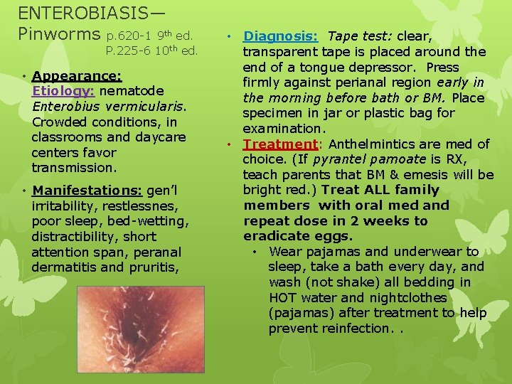 Infections of the Skin Lice Scabies Pinworm Ringworm